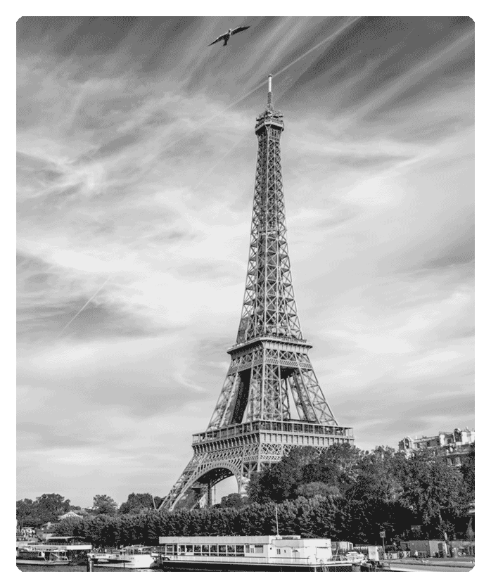 Management de Transition Paris et Île-de-France